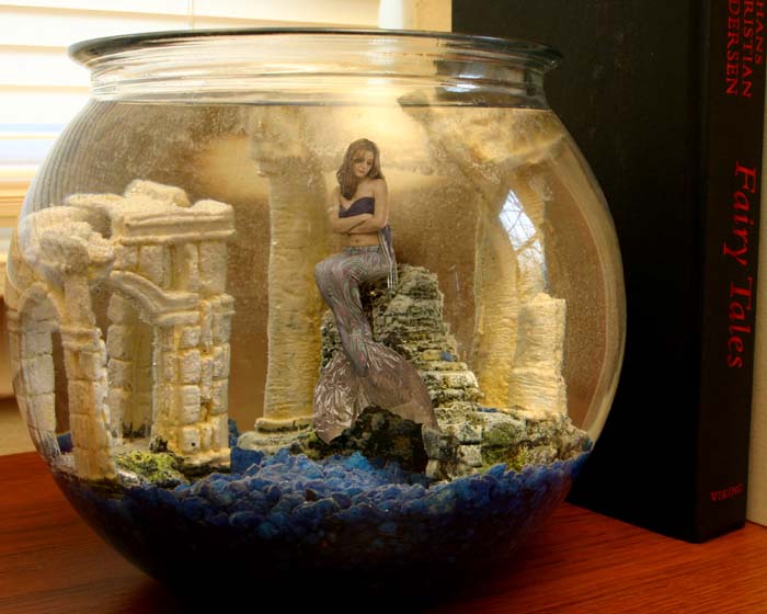 Guestbook | Stanley's fish tank
